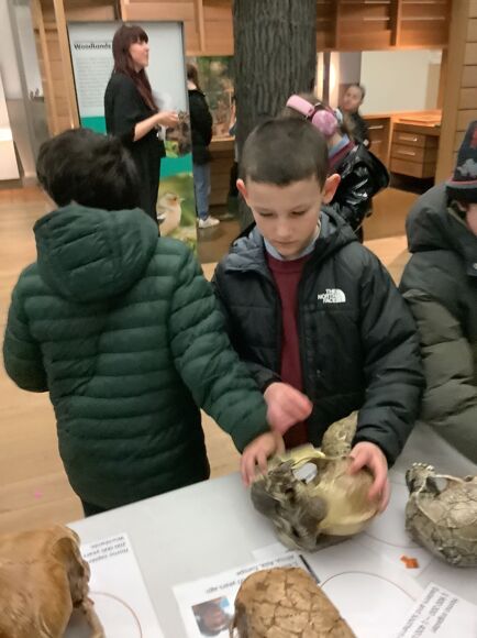 Visit to The Hancock Museum - Latest News - Thomas Bewick School