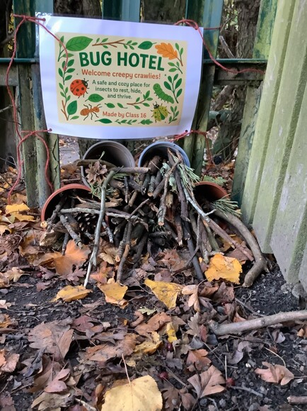 Bug Hotel Results - Latest News - Thomas Bewick School