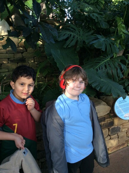 Class 18’s Trip to Sunderland Museum and Winter Gardens - Latest News ...