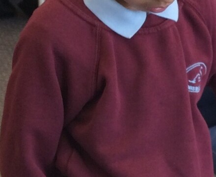 The Three Little Pigs - Latest News - Thomas Bewick School