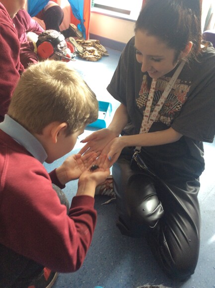 Class 16 Rockpool School - Latest News - Thomas Bewick School