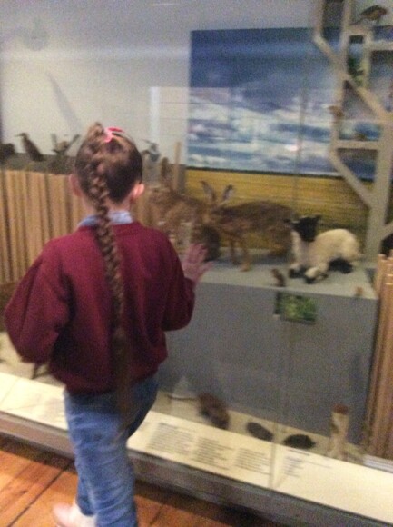 A Trip to the Hancock Museum - Latest News - Thomas Bewick School