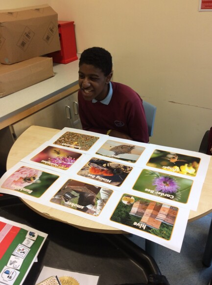 Class 29 Honey Biscuits - Latest News - Thomas Bewick School